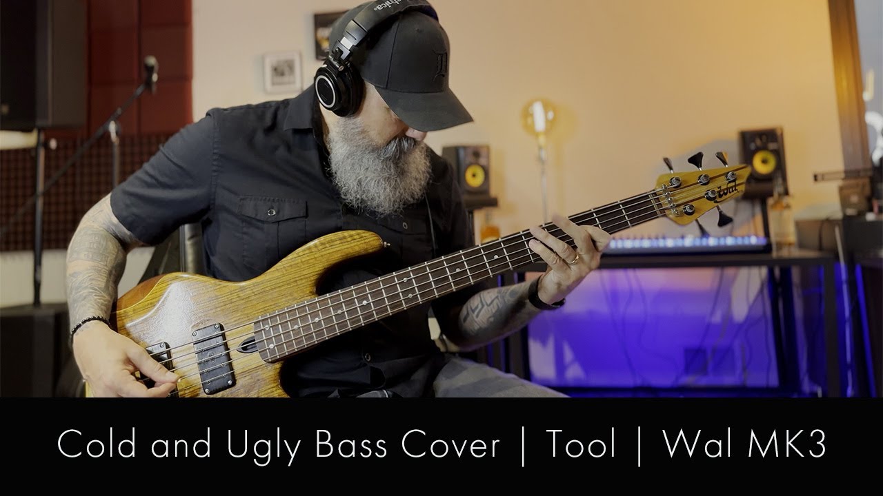 Cold and Ugly Bass Cover [Tool] Wal MK3 - YouTube