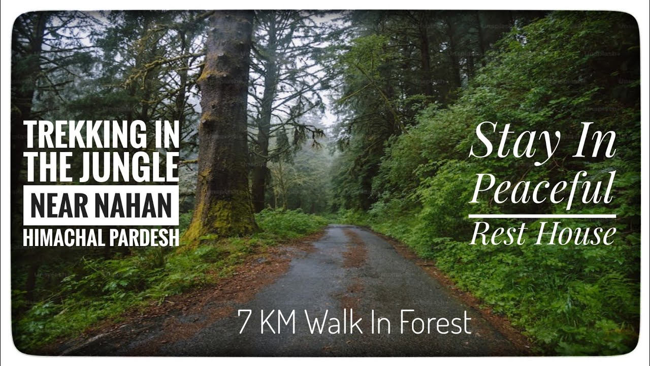 Nahan himachal pardesh। Nahan hill station। Nahan tourist places। Best ...