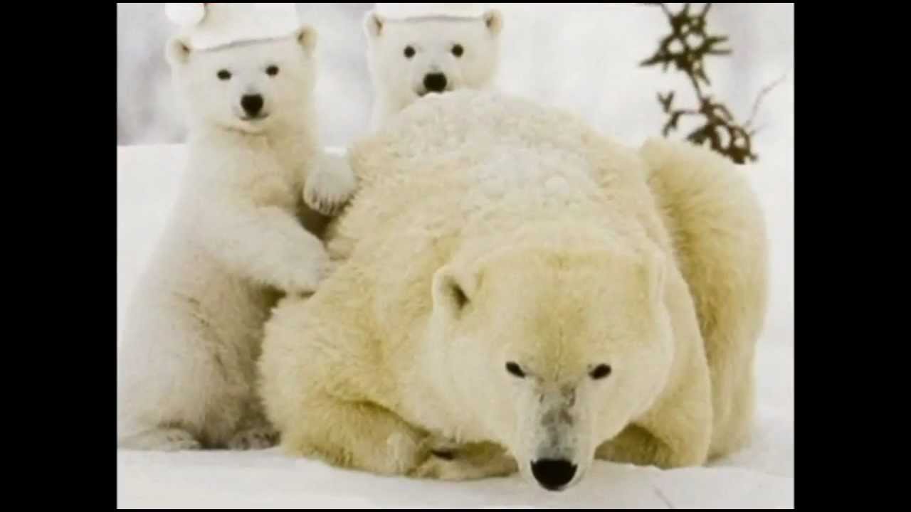 Martin Kelly - I Believe in Father Christmas - YouTube