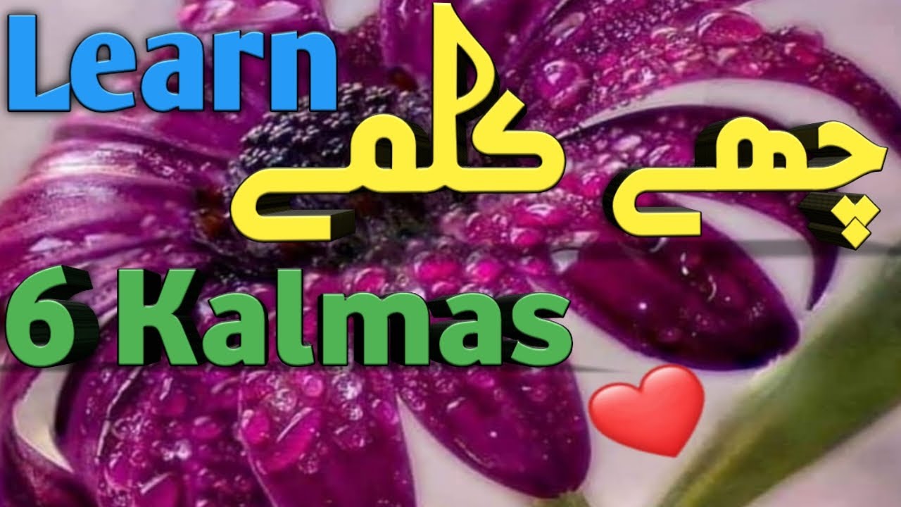 Six 6 Kalimas in Islam in Arabic | Learn Six 6 Kalimas | Sajid Mehmood ...