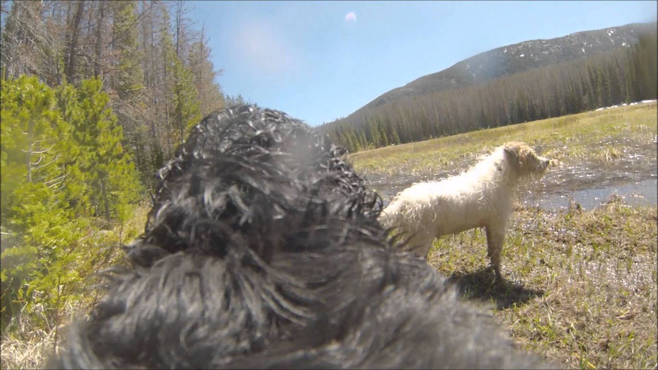 The Adventures of Jasmine and Russel, Tizer Lake - YouTube