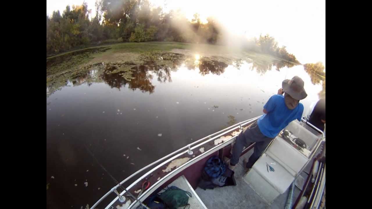 Sutter Bypass Bassing - YouTube