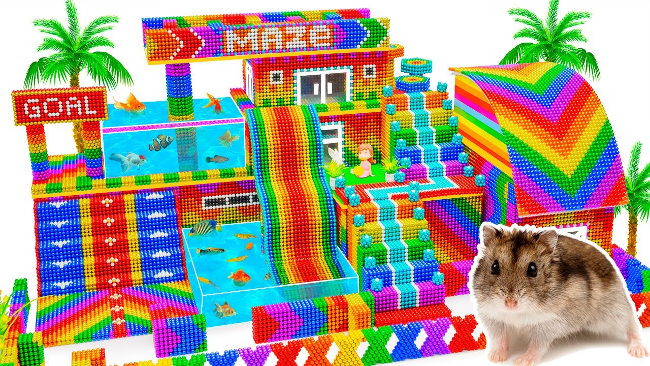 Hamster Escapes the Awesome Maze for Pets in real life 🐹 The Best ...