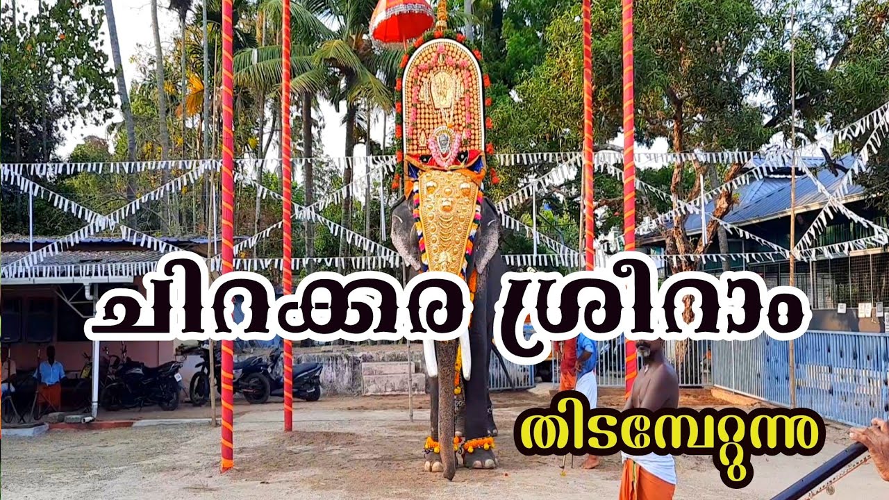 chirakkara sreeram ഉത്സവത്തിന് തിടമ്പേറ്റാൻ എത്തിയ ചിറക്കര ശ്രീറാം ...