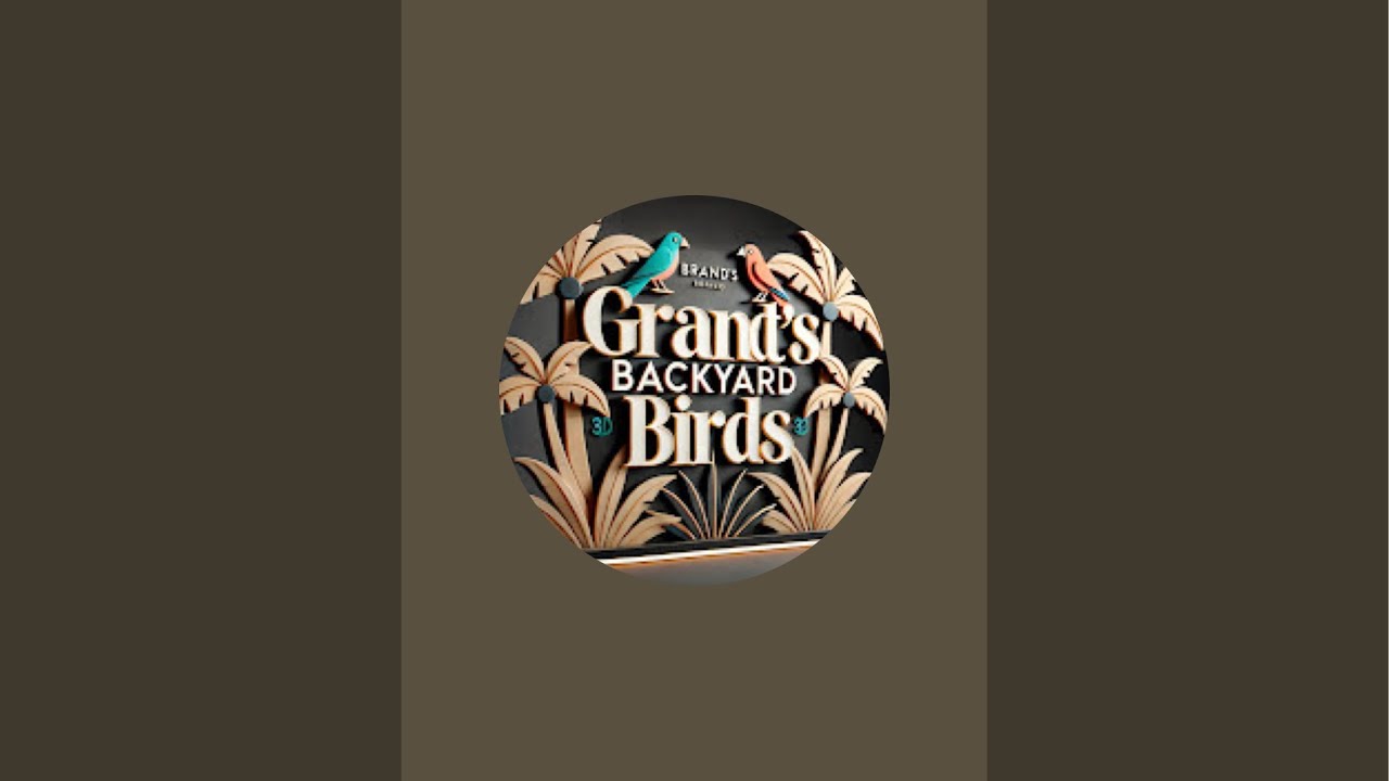 Grants backyard birds is live! - YouTube