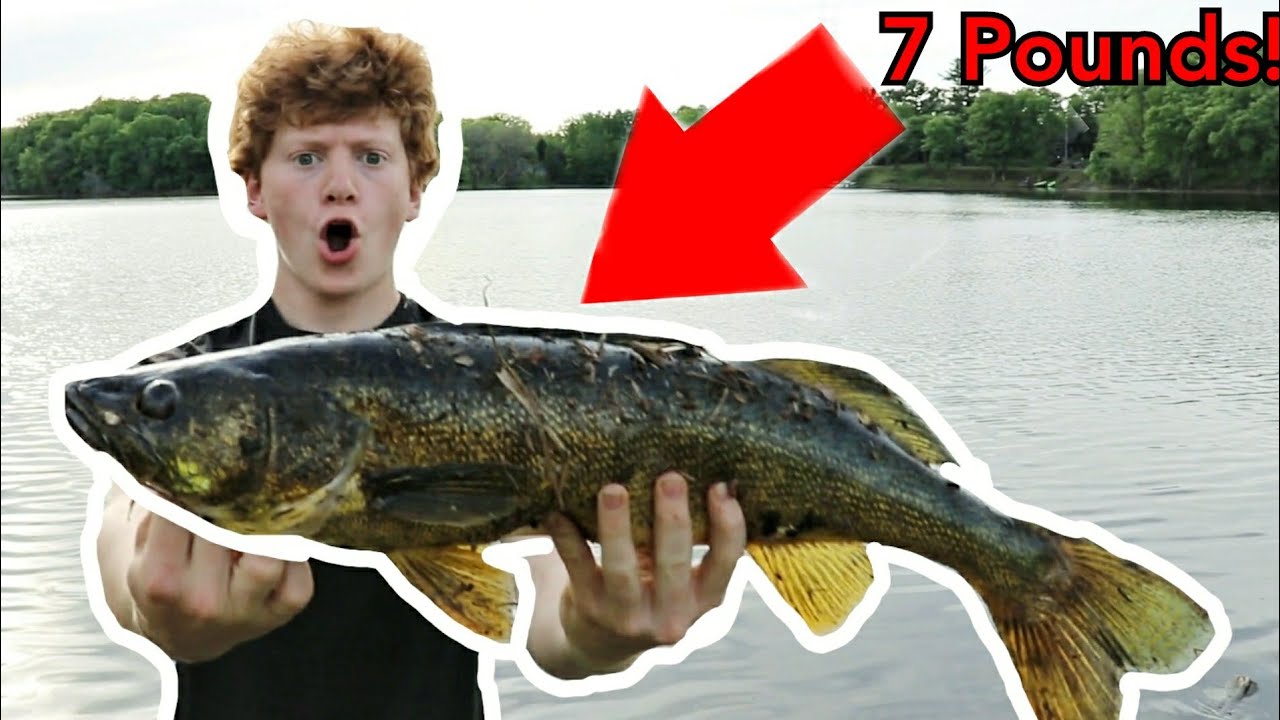 HUGE 7lb Walleye Urban Creek Bass Fishing! / Googan Jerk Bait - YouTube