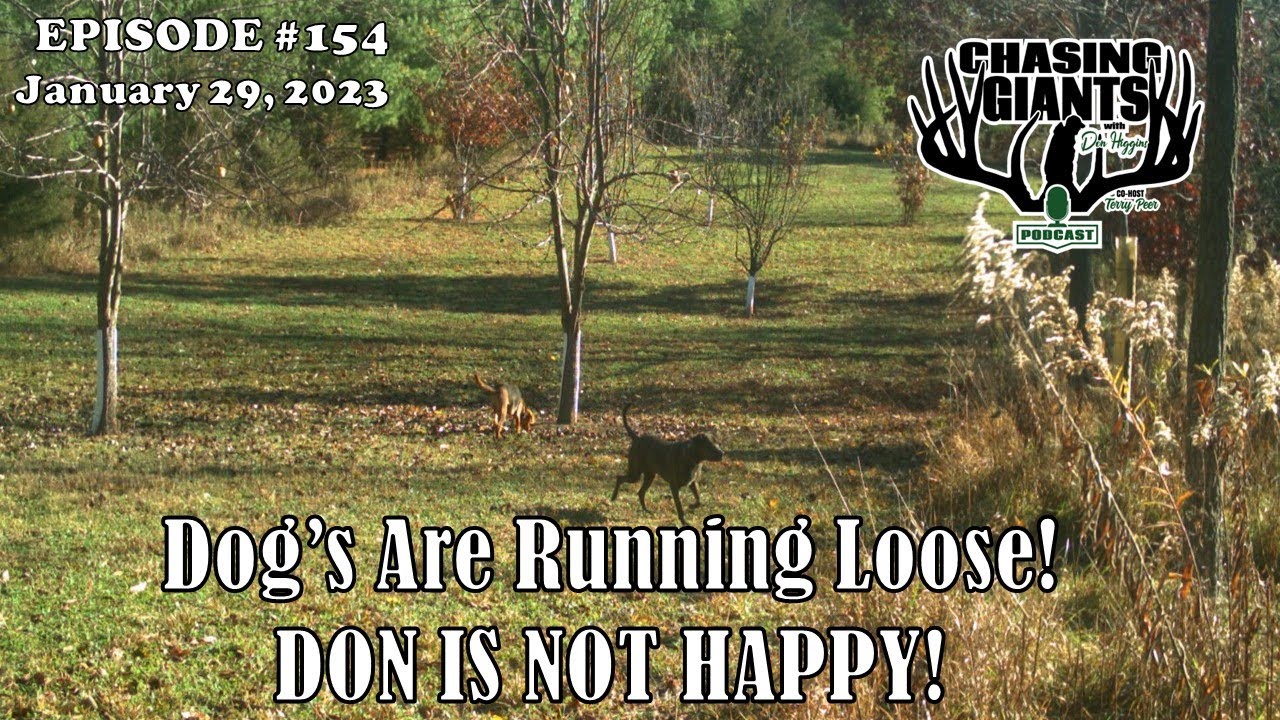 Episode #154 - Dogs are Running Loose on Don's Farm. HE IS NOT HAPPY ...