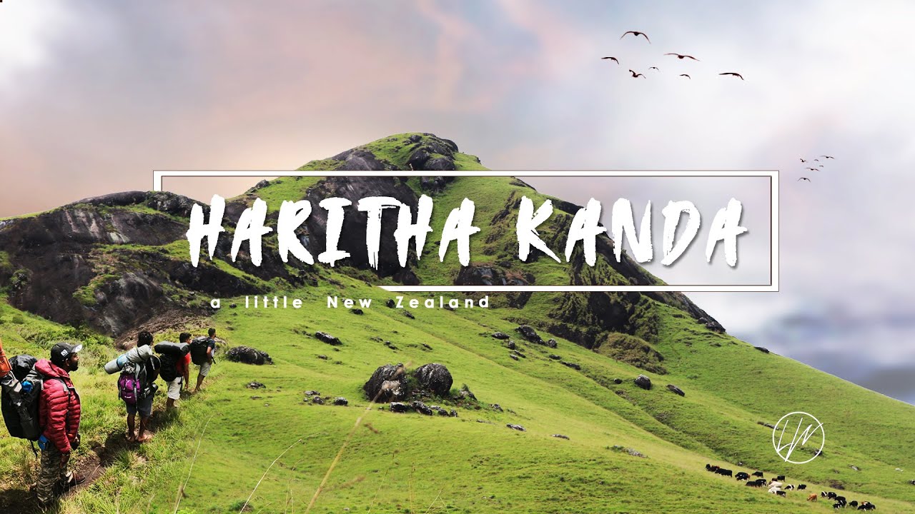 Haritha Kanda I Bopaththalawa I Travel Vlog #1 - YouTube