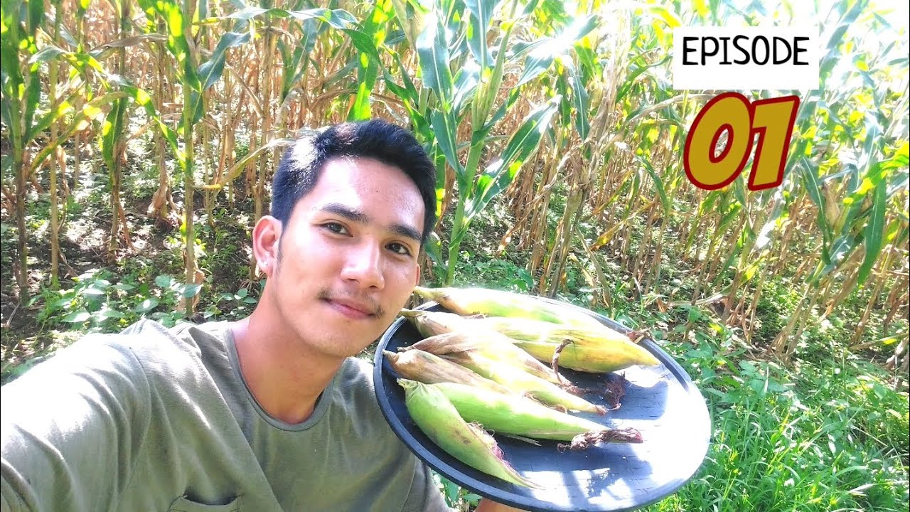 A taste of the Farm: Filipino Corn Merienda | Wilson Bahil - YouTube