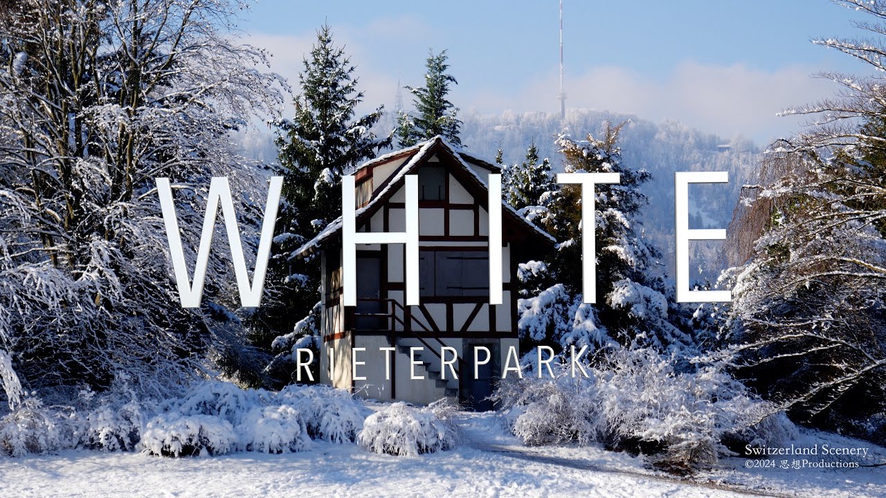 Winter Rieterpark Zurich SWITZERLAND スイス - YouTube