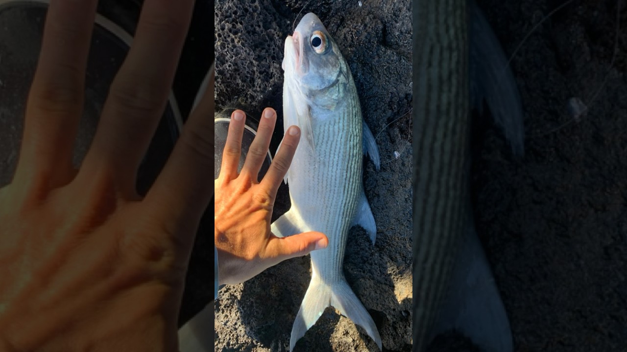 Finding Moi Fishing Grounds #fishing - YouTube