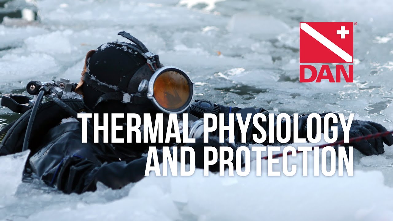 RF3.0 - Thermal Physiology and Protection - YouTube