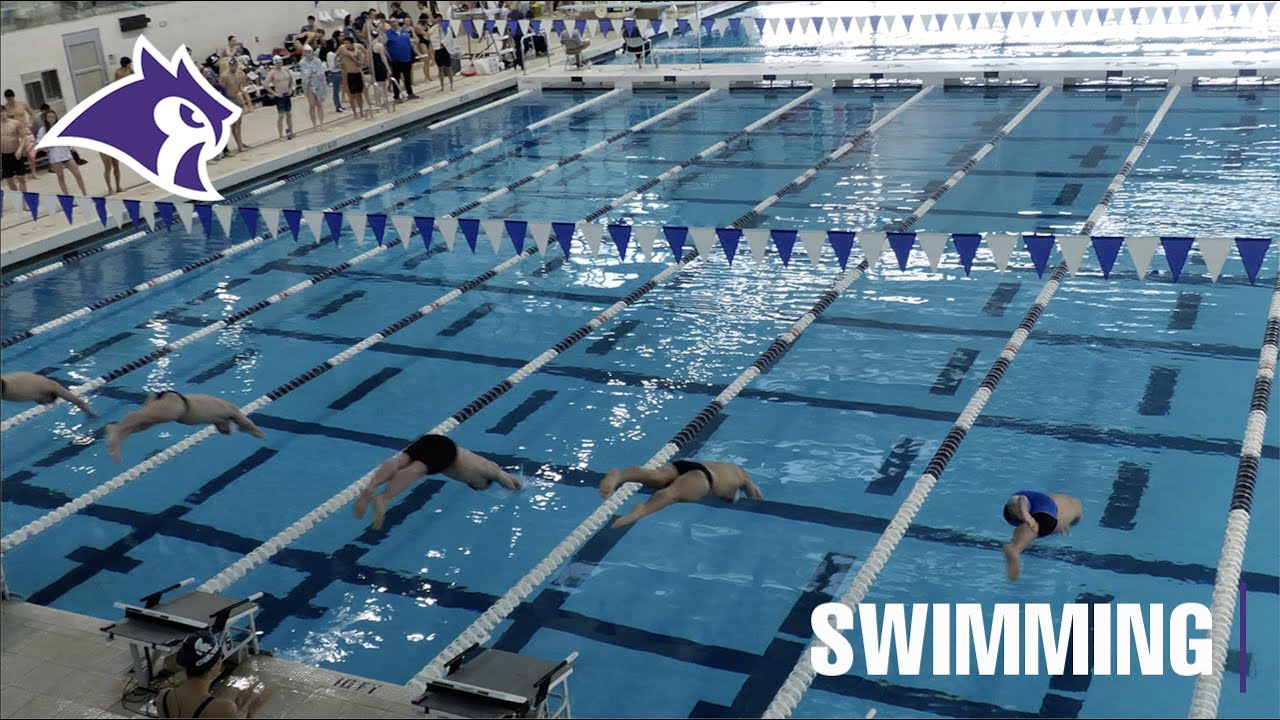 Men's Swimming & Diving Highlights vs. Case Western Reserve (2-3-24 ...