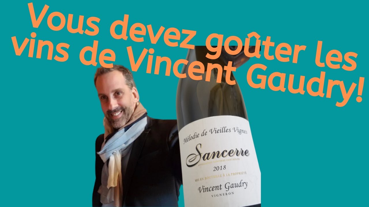 Pourquoi vous devez absolument goûter les vins de Vincent Gaudry à ...