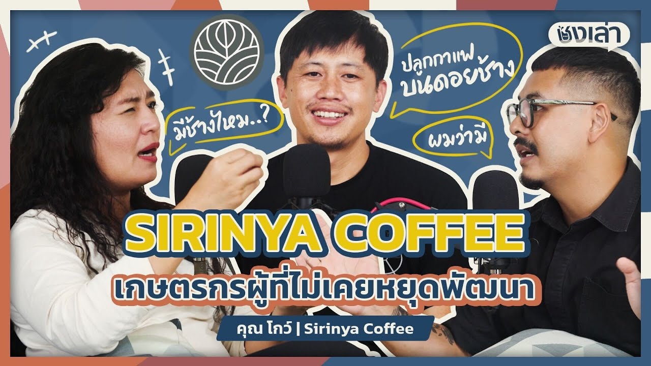 Chong Laow (ชงเล่า) EP 8 เกษตรกรรุ่นใหม่ที่ใช้หัวใจปลูกกาแฟ Sirinya ...