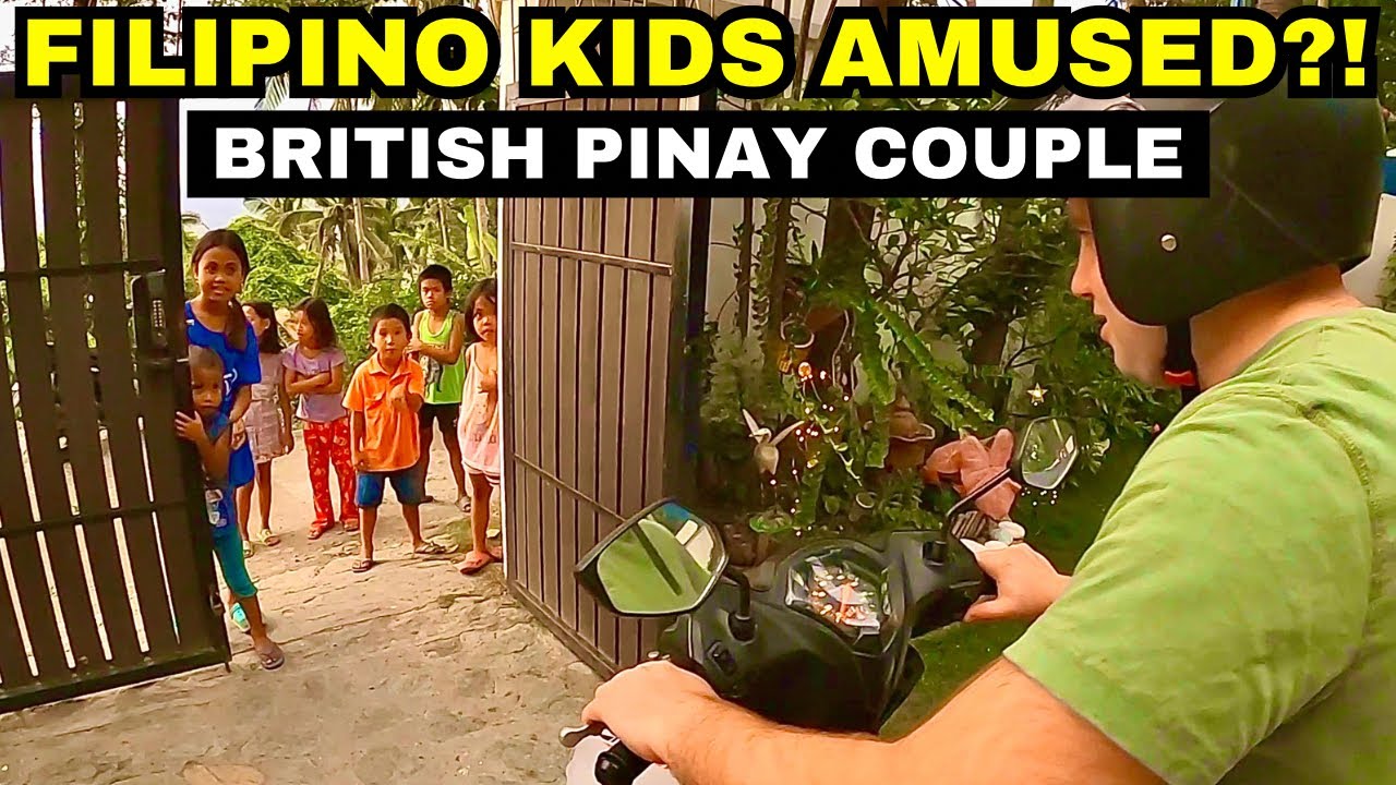 Thousands of giant golden crowned flying fox fruit bats (Pteropus ...