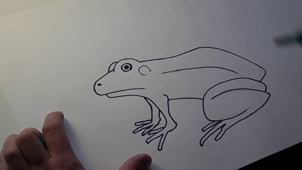 Frog in Side View with Marker - YouTube