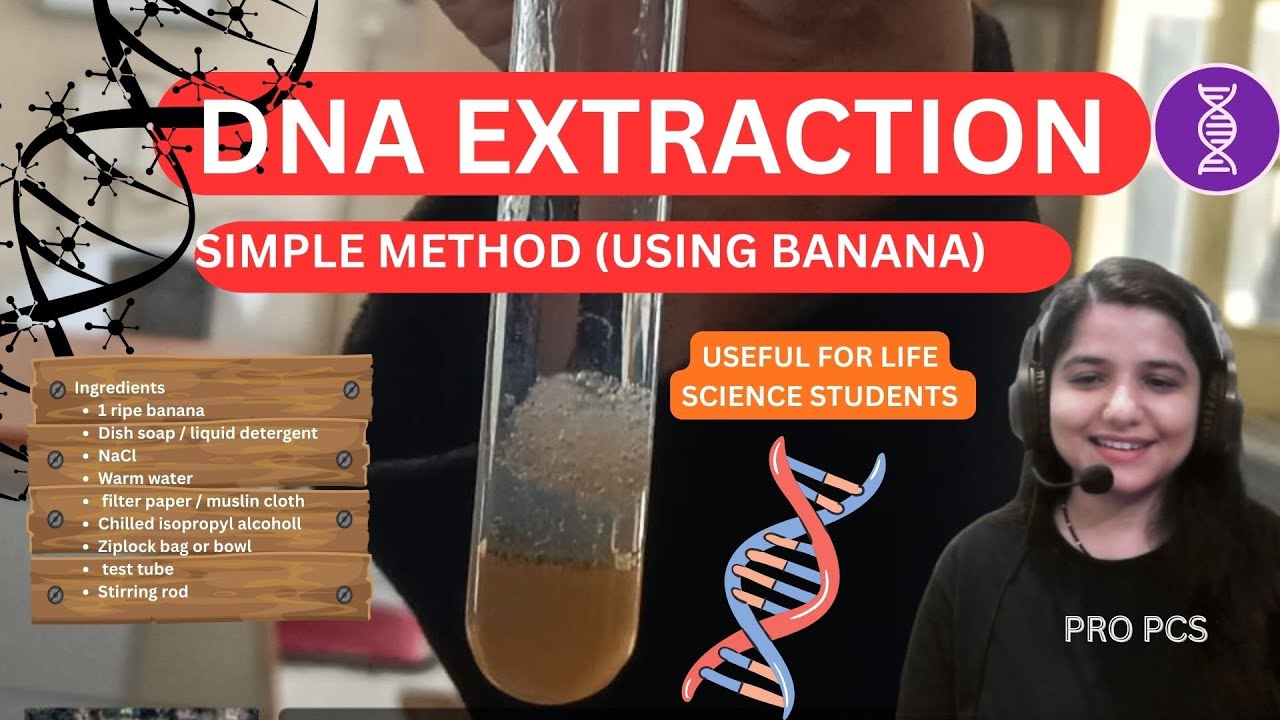 DNA EXTRACTION IN JUST THREE MINUTES |STEP BY STEP |DNA ISOLATION USING ...
