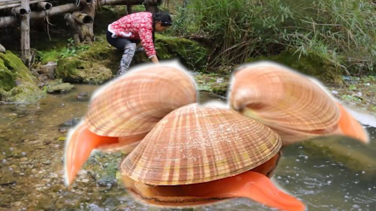 🔥🔥 Unbelievably, clams are filled with beautiful pearls and gemstones 💎 ...