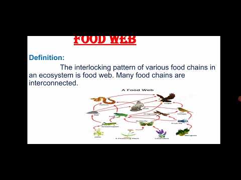 EVSS ECLOGICAL SUCCESSION