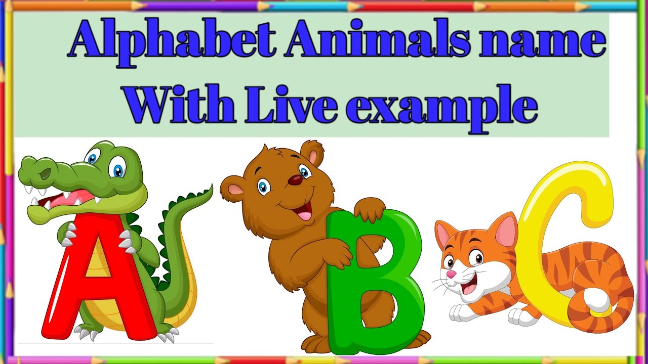 ABC Animals name With Live example|Learn Alphabet Animals name in ...