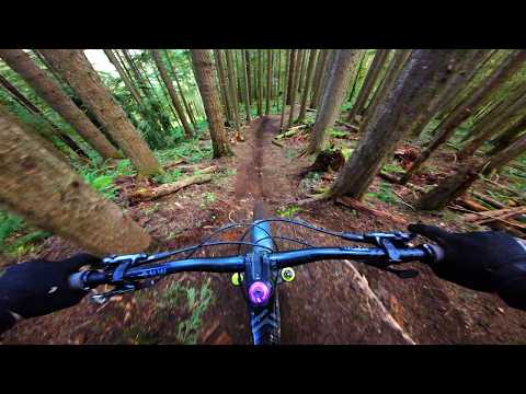 Mountain Bike ASMR POV || 2024 & 2025