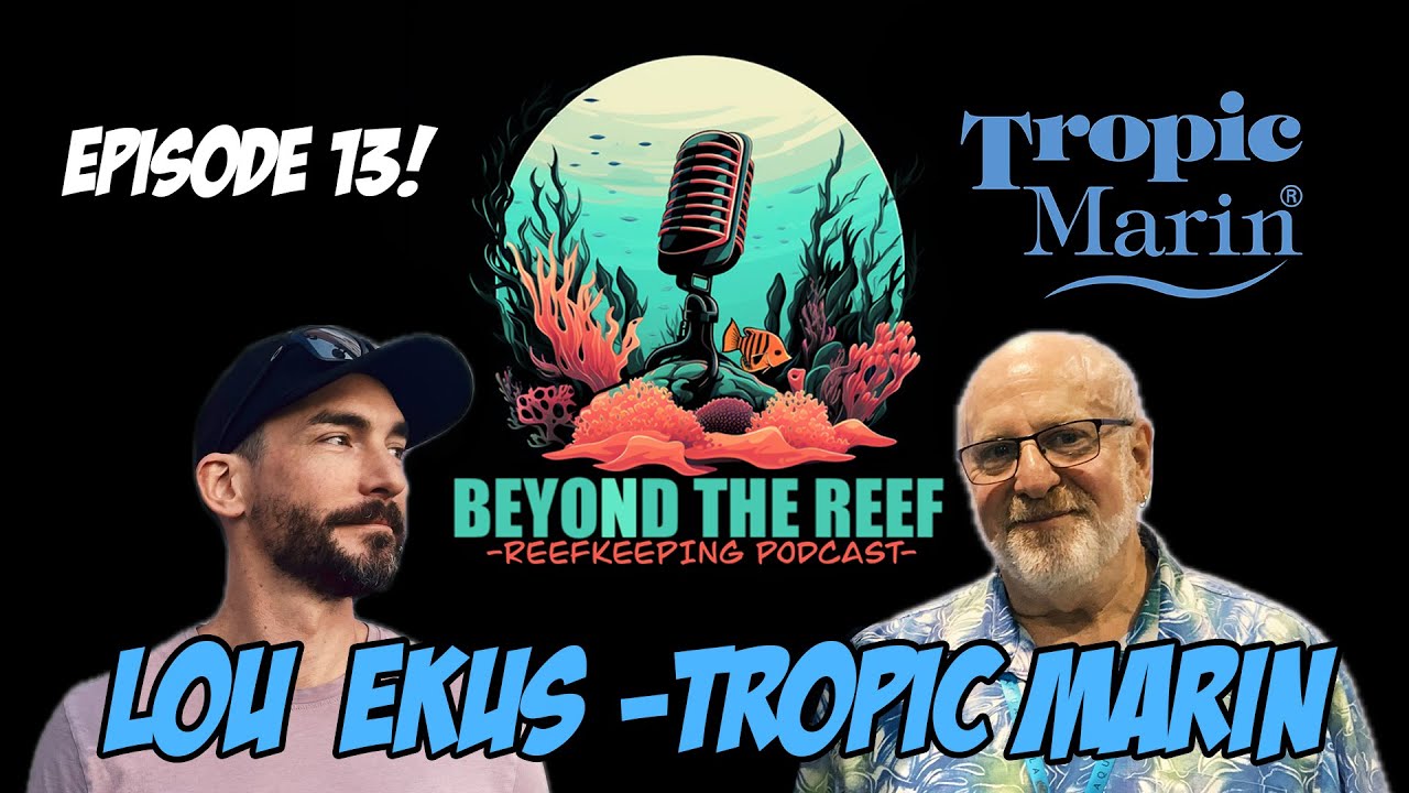 Episode 13: Lou Ekus -Tropic Marin - YouTube