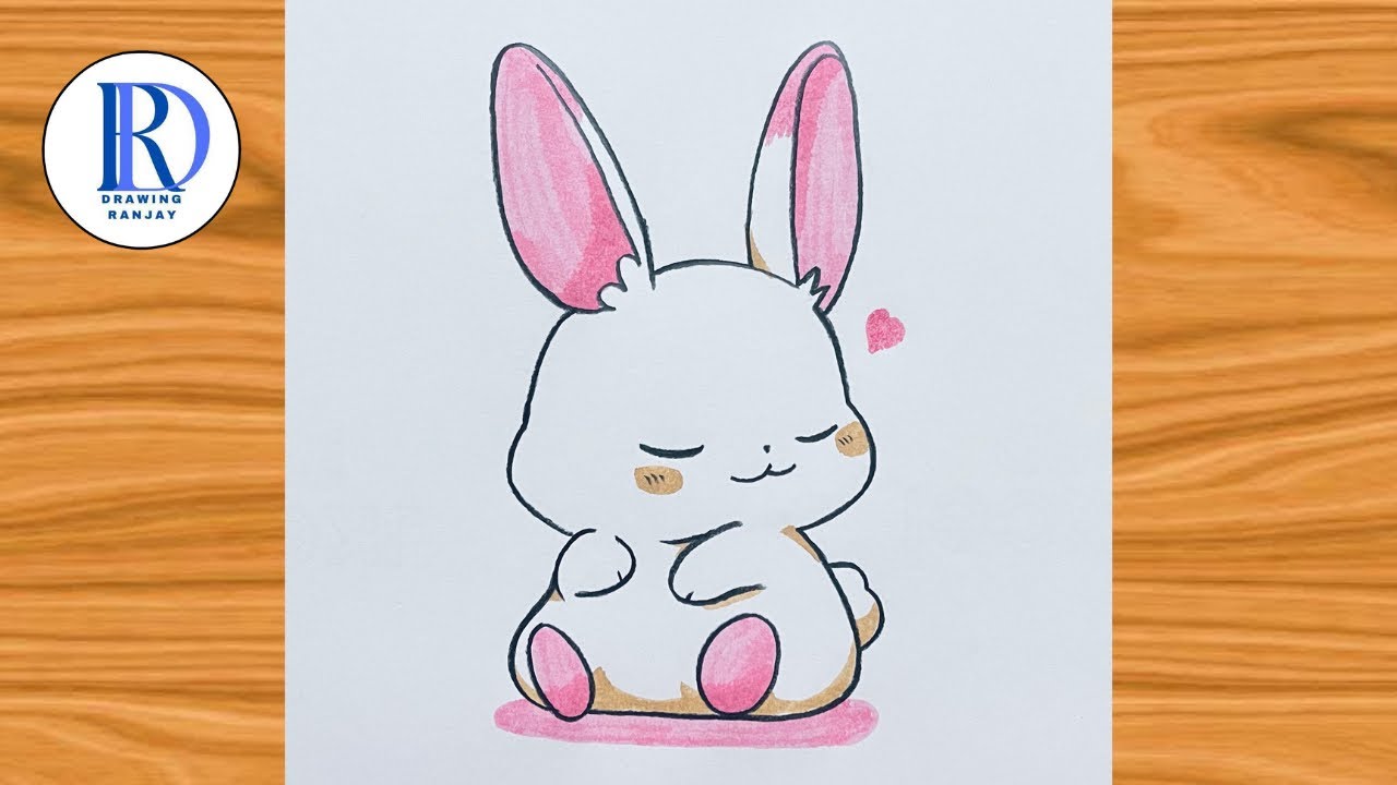 Rabbit drawing for beginners/Pencil drawing easy - YouTube