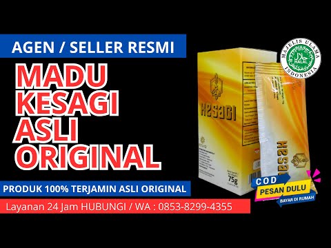 Apakah Madu Kesagi Berbahaya ? 100% Aman | Kosagi Kusagi Kasagi Suplemen Pria Perkasa