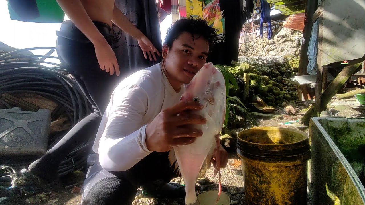 Halang halang na Saguksok Fish (Scrawled filefish) ug Sinugbang Pakol ...