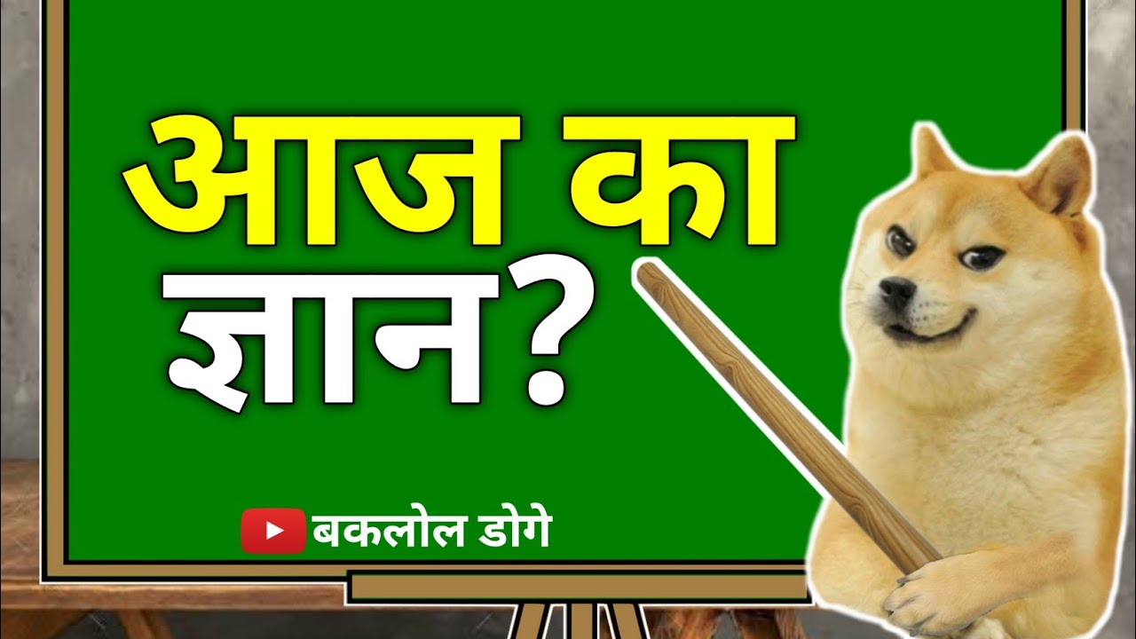 आज का ज्ञान ? Dogesh | Baklol doge | cheem meme | #dogesh #dogememe # ...