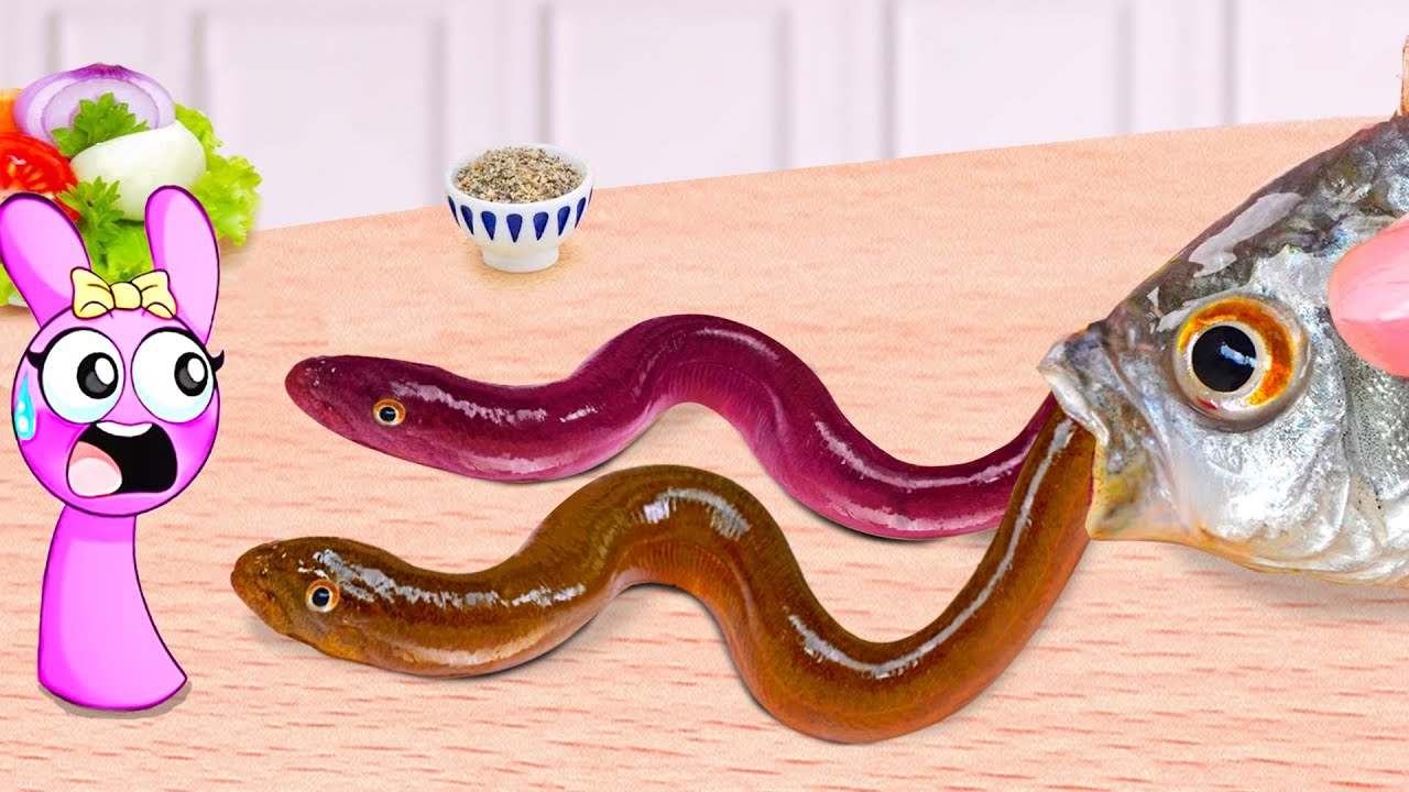 Recipe for a Sushi Party😍Satisfying Miniature Grilled Eel Korean Sauce ...