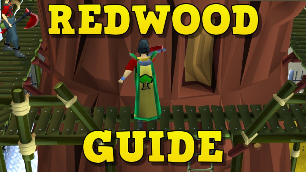 OSRS Cutting Redwood Logs Guide 2022 | Woodcutting Guide (1 Hour) - YouTube