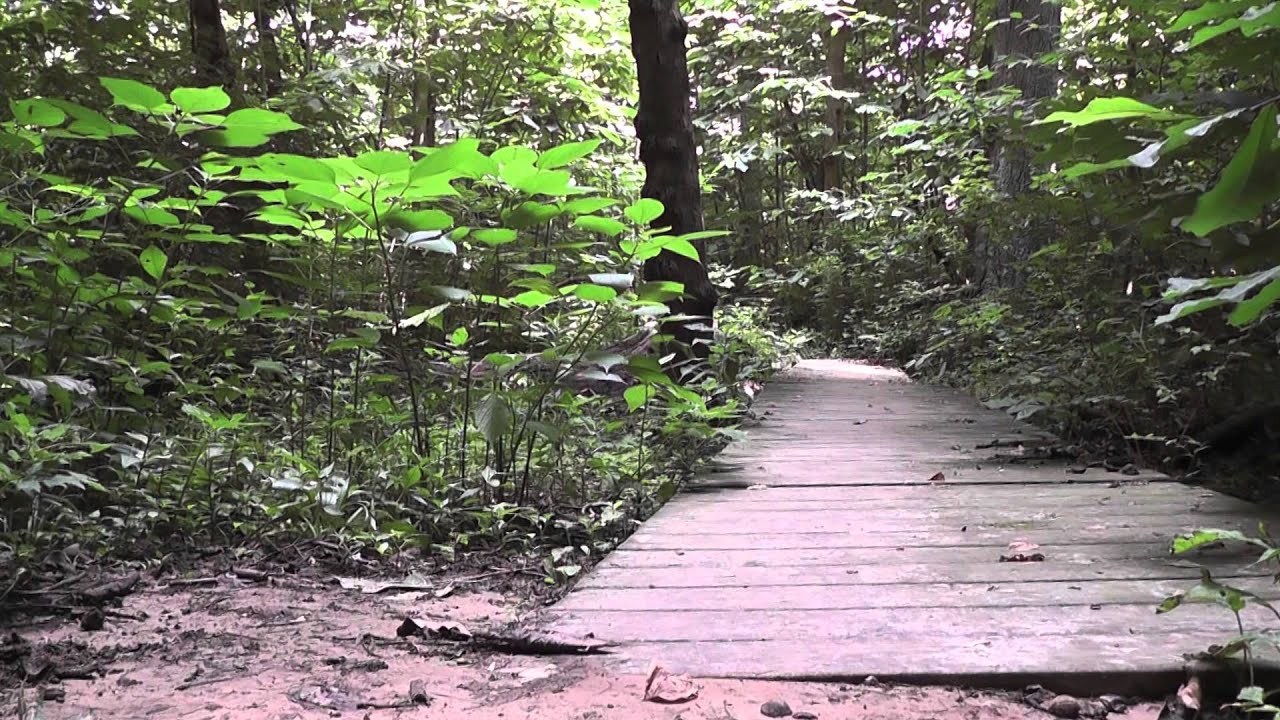 Paw Paw Trail - YouTube