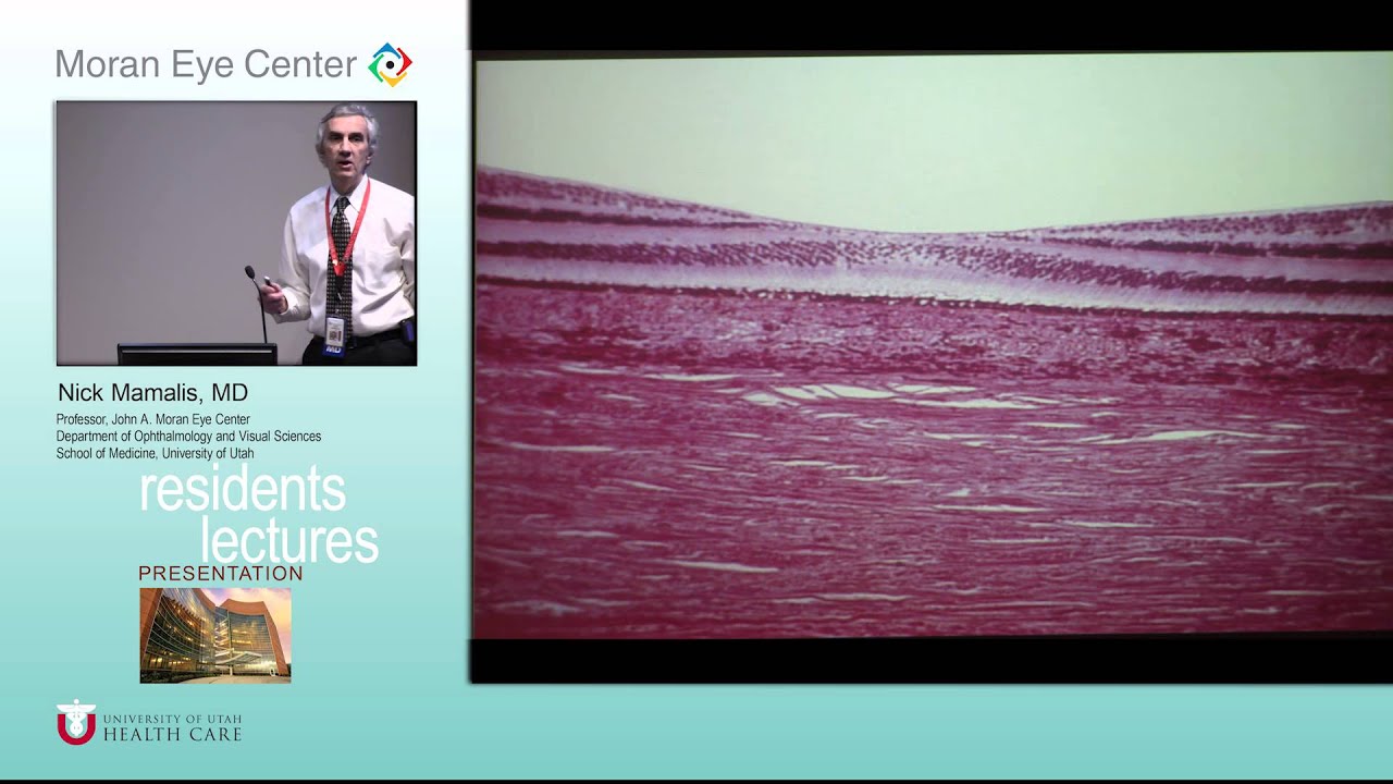 Pathology - Retina - YouTube