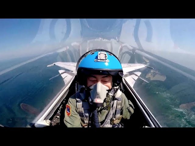 F 15 Pilot Zyn