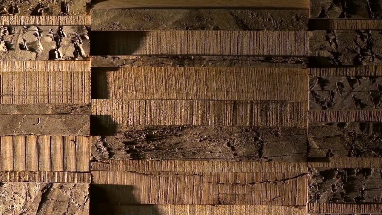 Tara Concept 2016 EN - YouTube