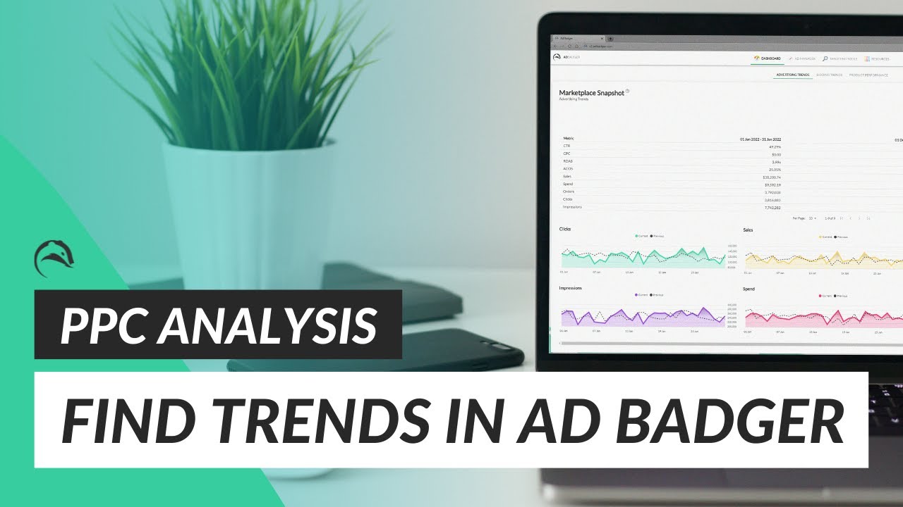 Finding Trends in Amazon PPC Using the Ad Badger App: How to Analyze ...