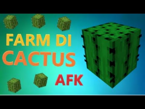 [1.20+] FARM DI CACTUS AUTOMATICA AFK - SUPER SEMPLICE - YouTube