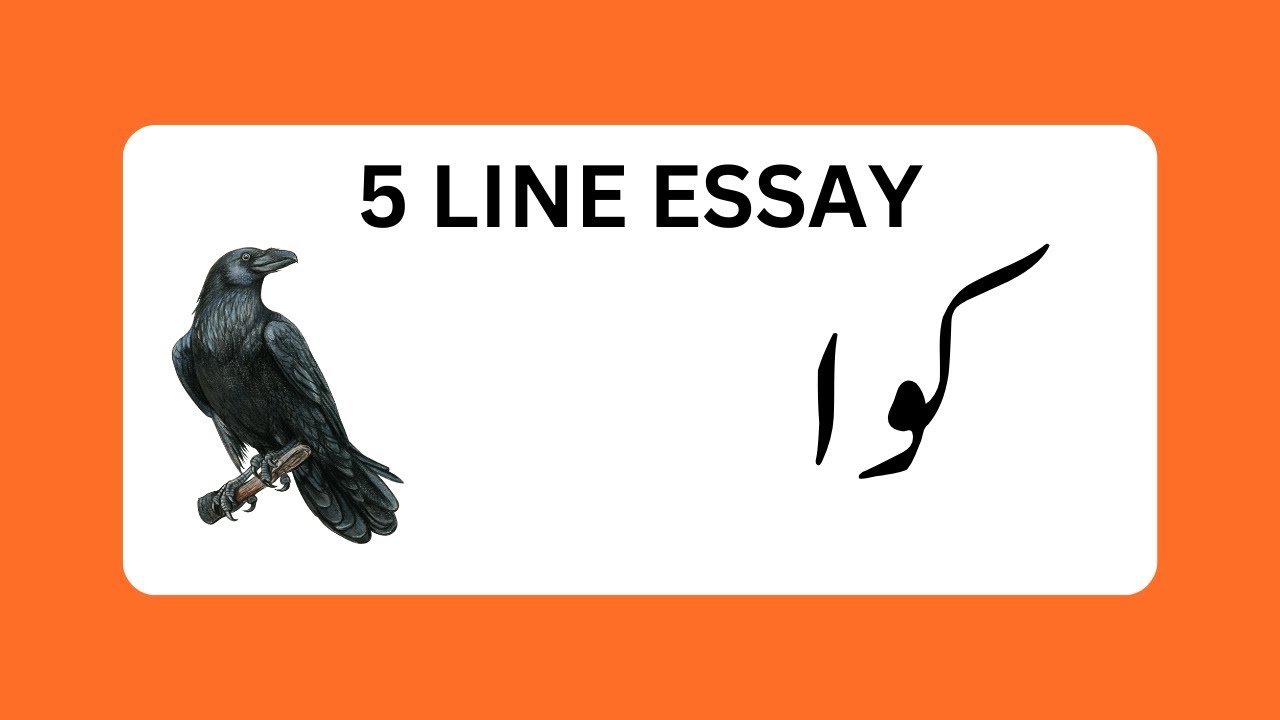 5 LINES ESSAY ON CROW/Urdu essay crow/our knowledge - YouTube