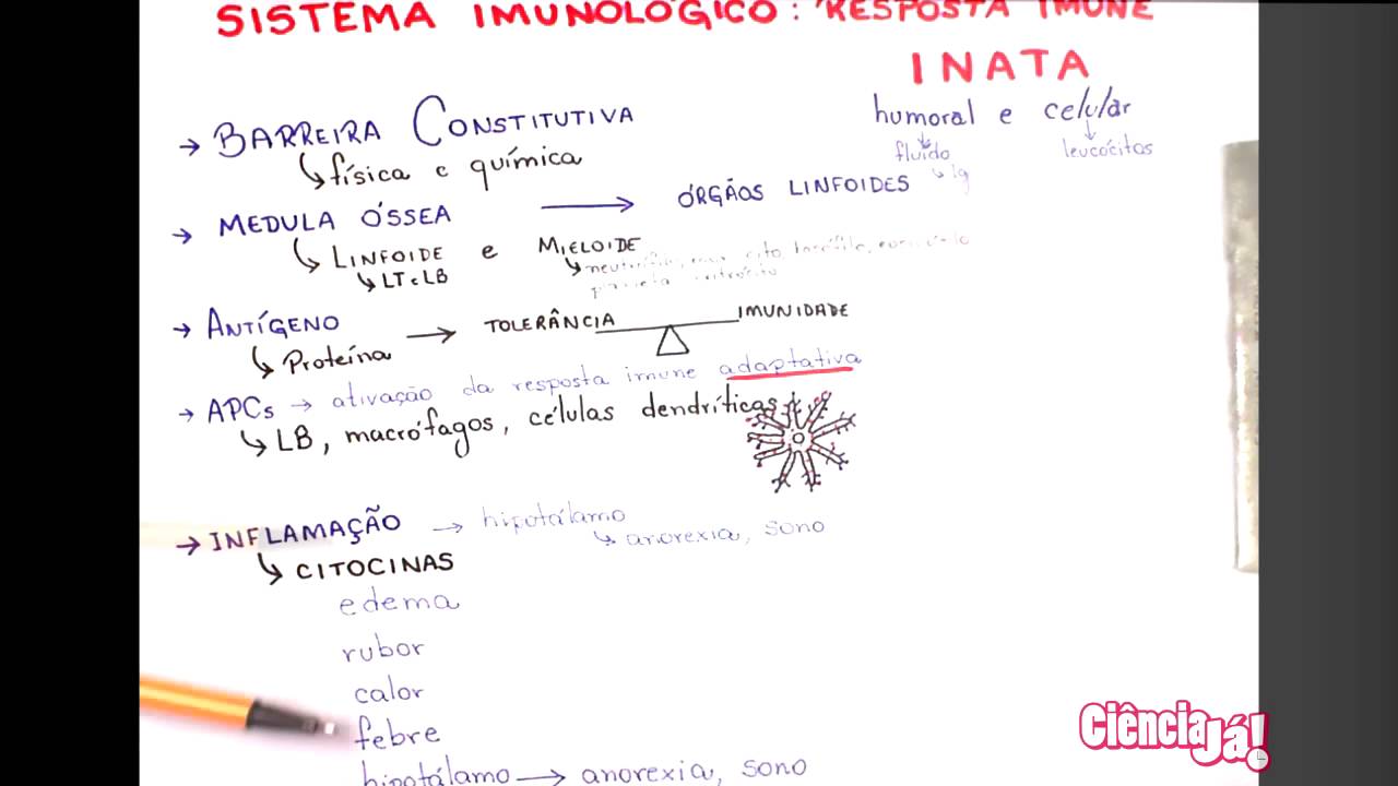 Imunologia | Resposta Imune Inata - YouTube