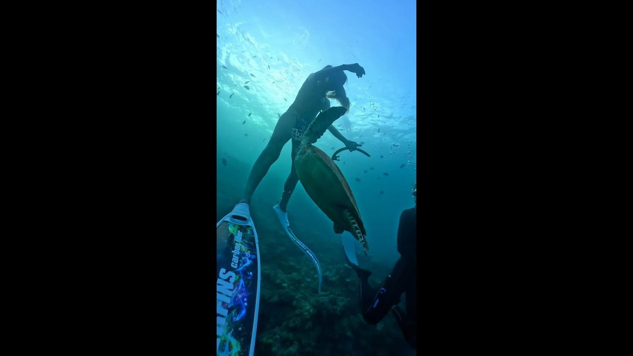 Onna Freedive - YouTube