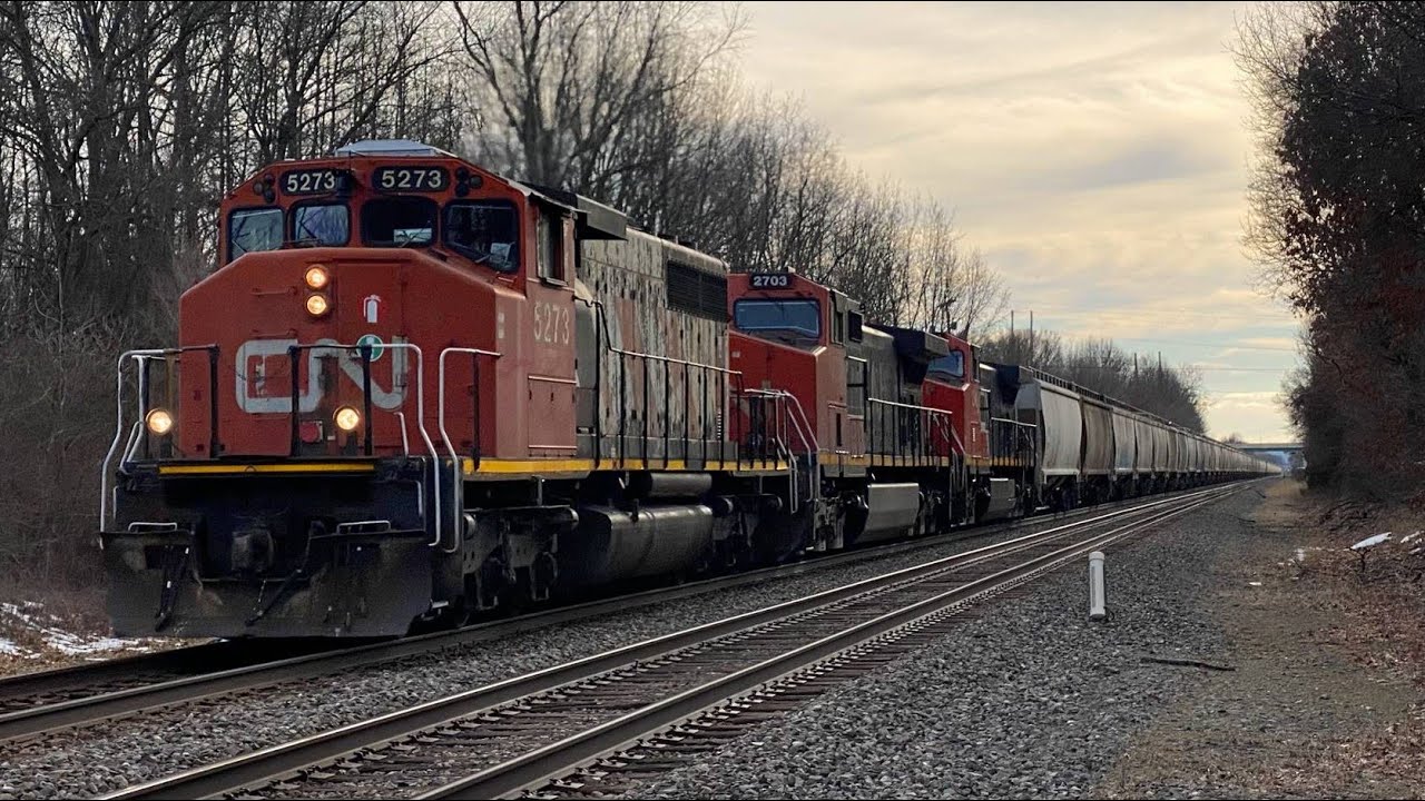 CN 5273 (SD40-2W) Leading Unit Grain Train CN G881! 2-1-25 - YouTube