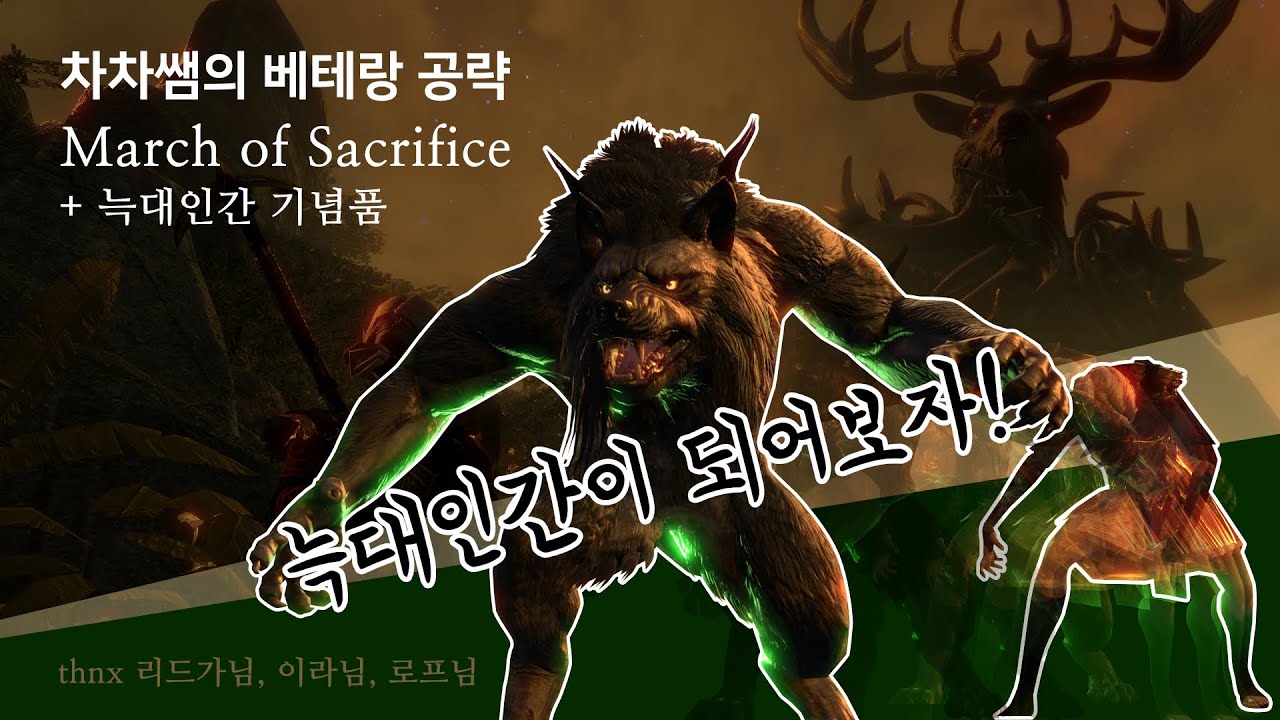 [차차쌤+엘더스크롤 온라인] 베테랑 March of Sacrifice 공략 + 늑대인간 기념품 공략 - YouTube