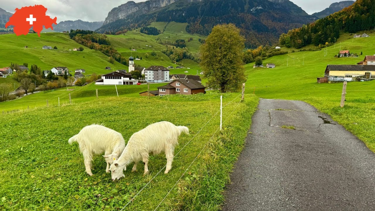 Life in Switzerland Countryside in Early Spring - Most beautiful Swiss ...