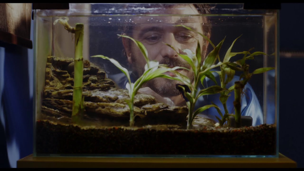 ISTMO | Trailer ufficiale del film HD (1) - YouTube