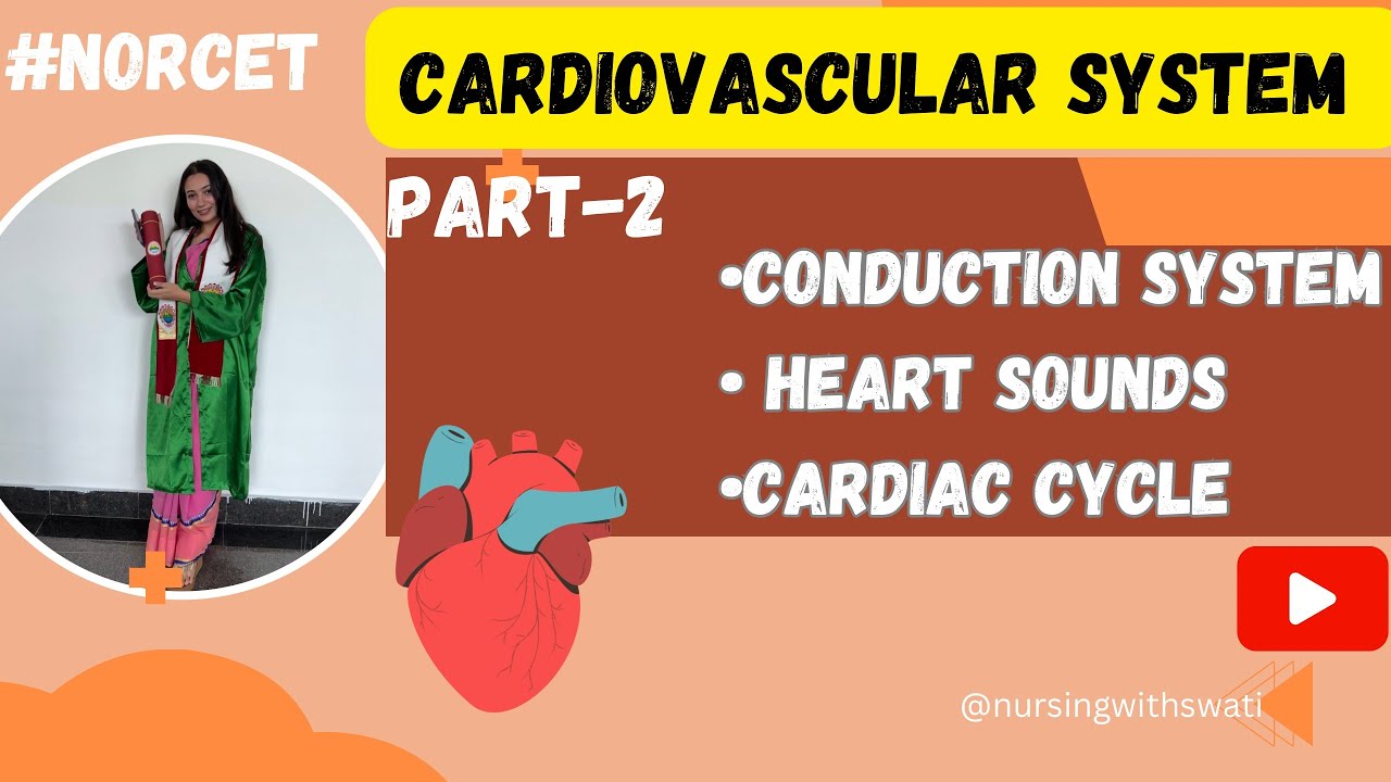 "Nursing Essentials: Understanding the Heart's Conduction System ...