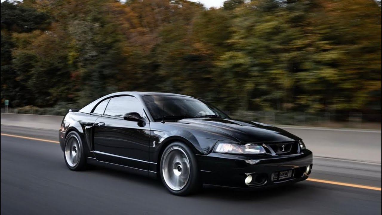 Sn95 Mustang Cobra Terminator #terminatorWeek #sn95power - YouTube