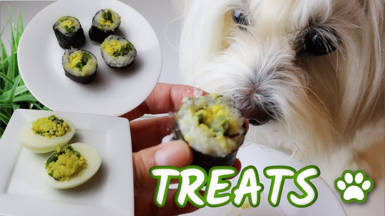 Homemade Treats for Dogs, STUFFED EGGS, MAKI ROLLS I Lorentix - YouTube