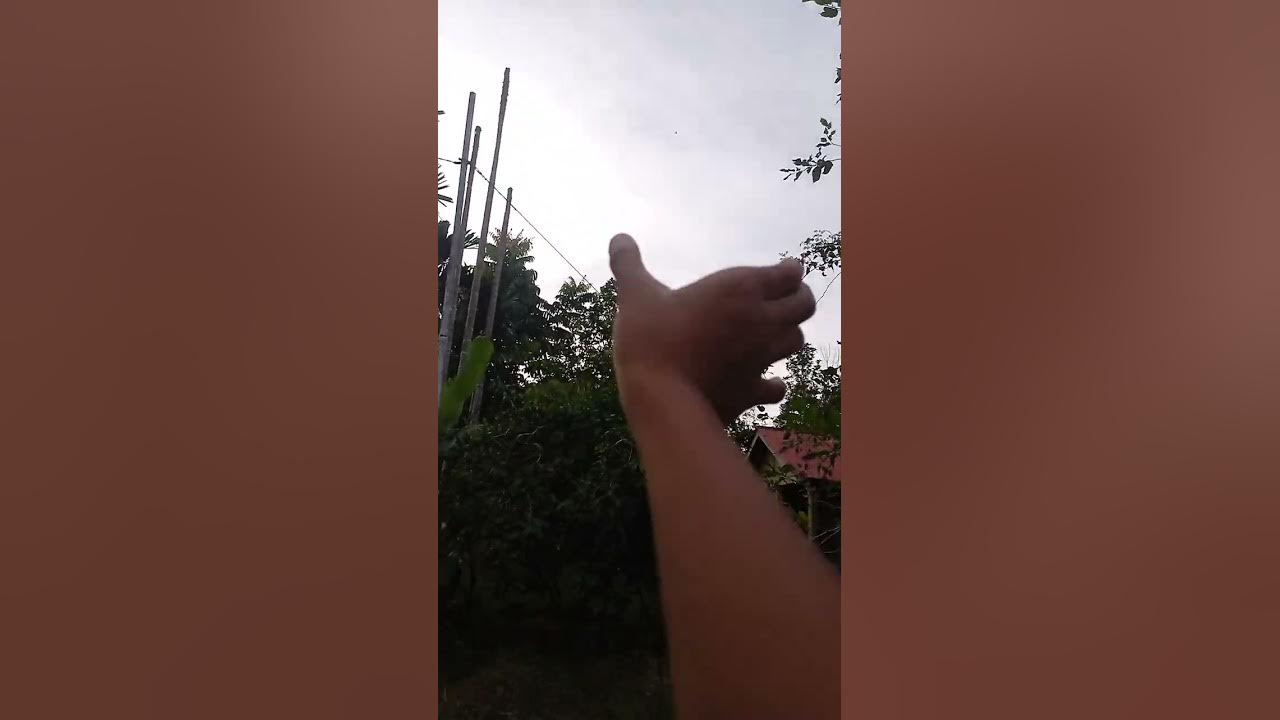 ngejar kelayang cessss - YouTube